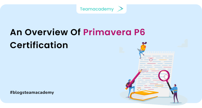 An Overview of Primavera P6 Certification – Team Academy