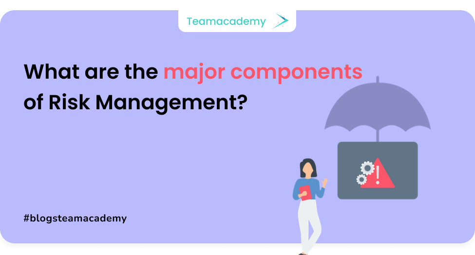 What are the major components of Risk Management? – Team Academy